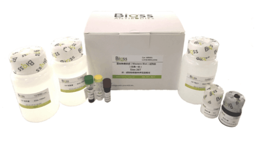 Streptavidin/APC (bs-0437P-APC) - 上海信裕生物 - 信裕生物-试剂盒,ELISA试剂盒, 检测试剂盒,抗体 ...