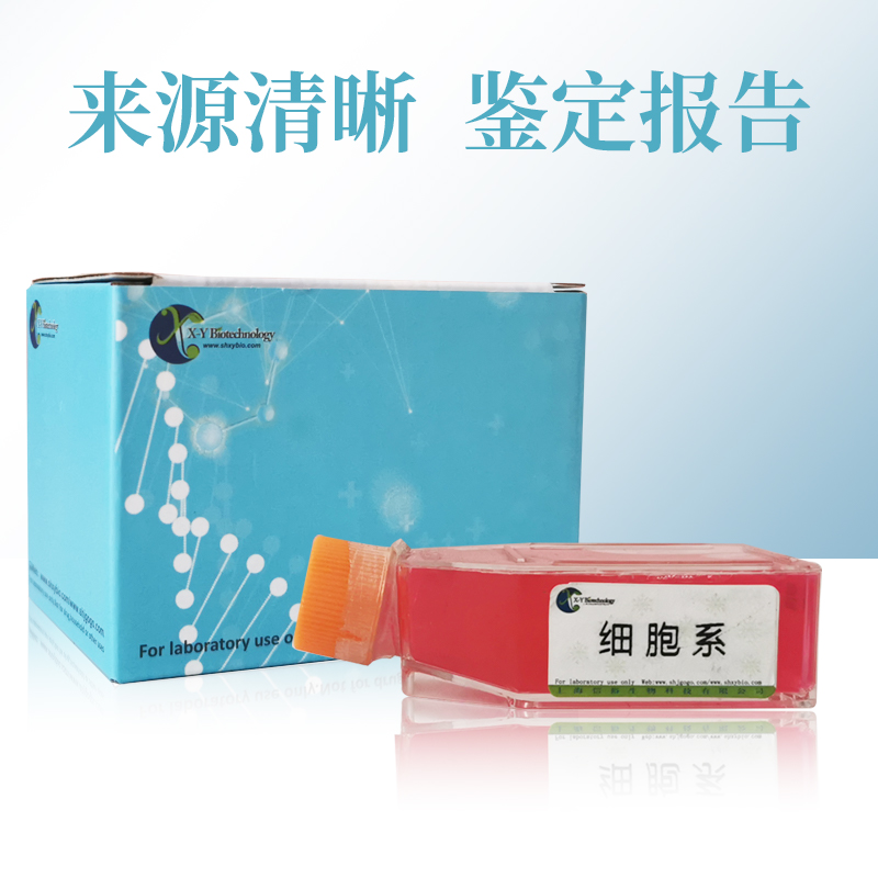 LU99细胞（人大细胞癌细胞） XY-H1310 - 上海信裕生物 - 信裕生物-试剂盒,ELISA试剂盒, 检测试剂盒,抗体,细胞系,原代 ...