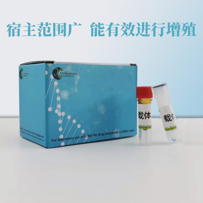 pSUPER.retro.neo+gfp 载体 XY93596VT - 上海信裕生物 - 信裕生物-试剂盒,ELISA试剂盒, 检测试剂盒,抗体,细胞系,原代细胞,ATCC细胞,重组蛋白,抗体 ...